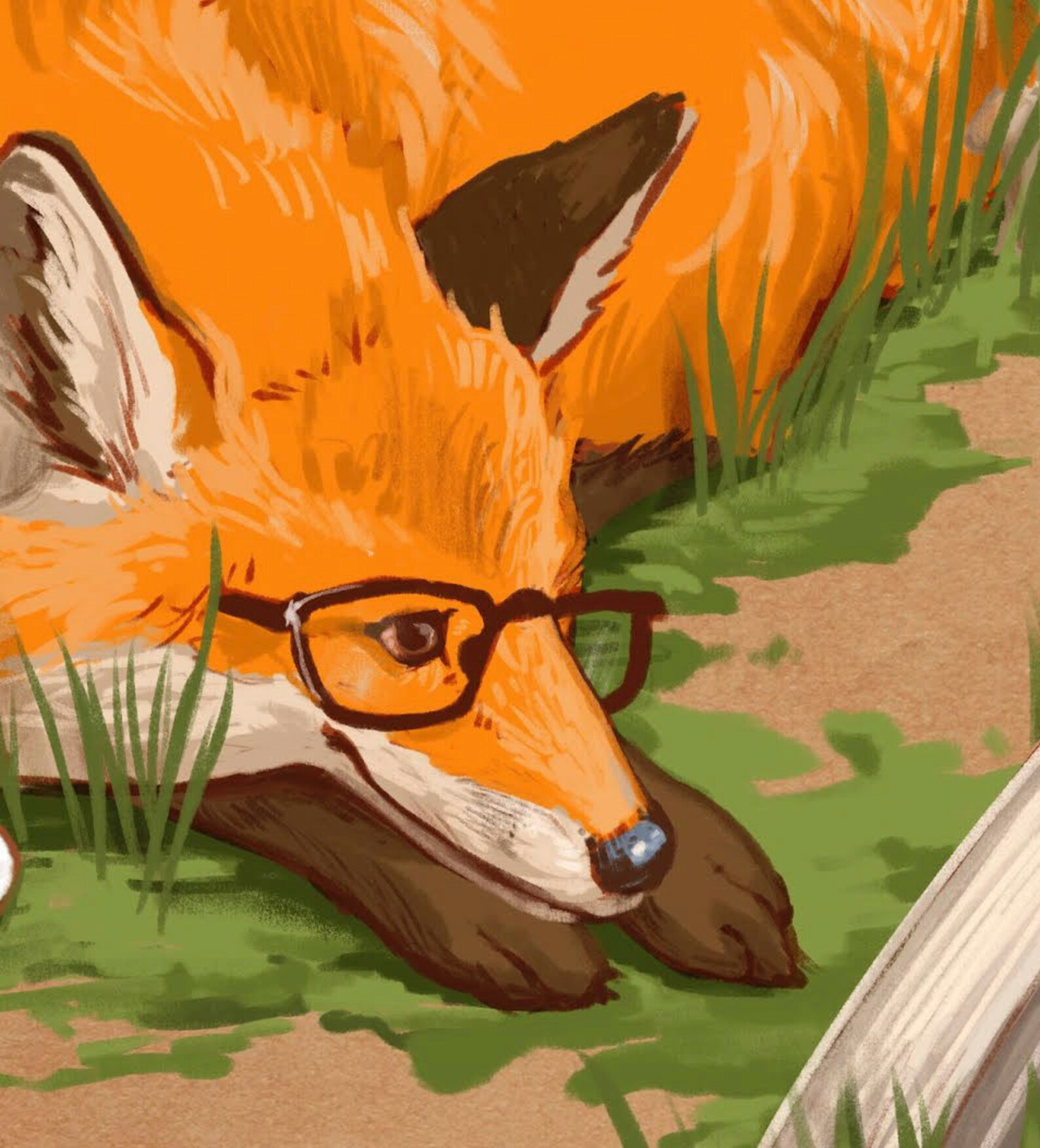 Cozy Fox 11x14 Art Print | Etsy