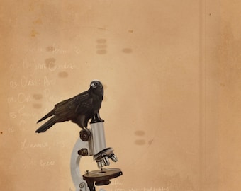 Octopus With Books 8x10 Art Print - Etsy