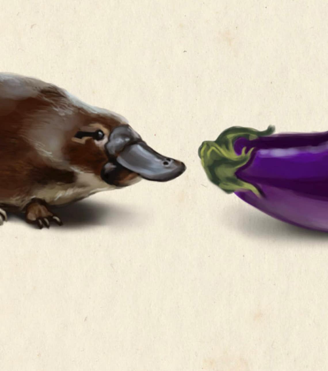 Platypus Fine Art Print 11x14 Art Print - Etsy