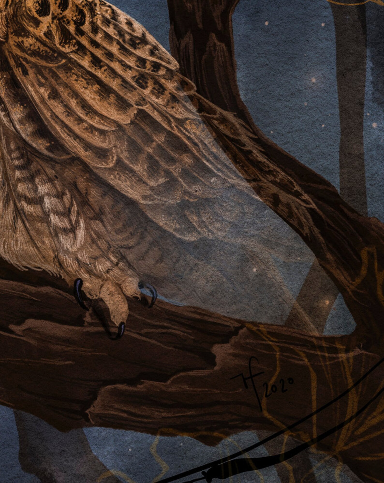 The Sylvatic Cycle 03 Archival Art Print 11x14 - Etsy