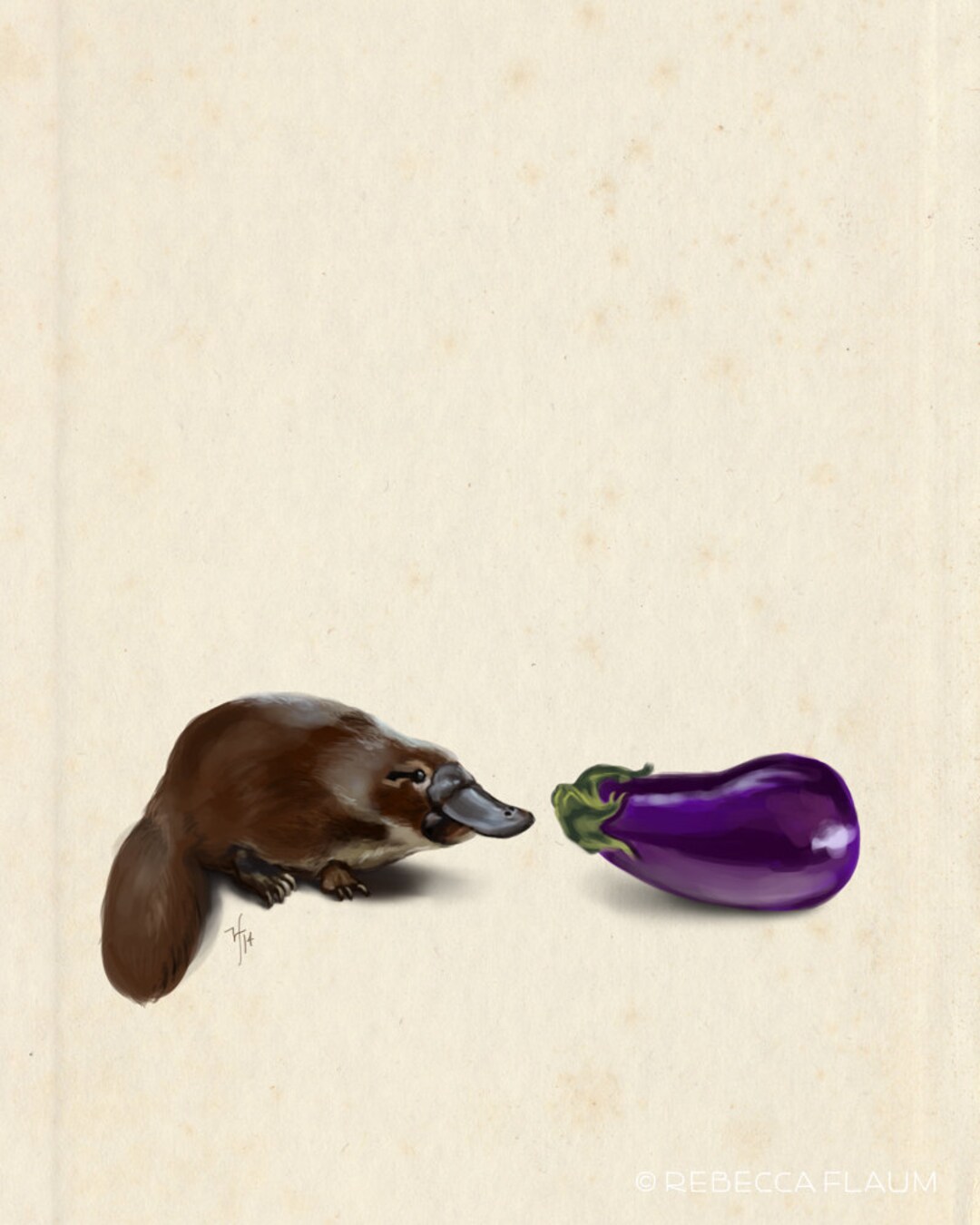 Platypus Fine Art Print 11x14 Art Print - Etsy