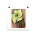 Art Print - Okra | Art for the Uncommon Gardener Series - Etsy