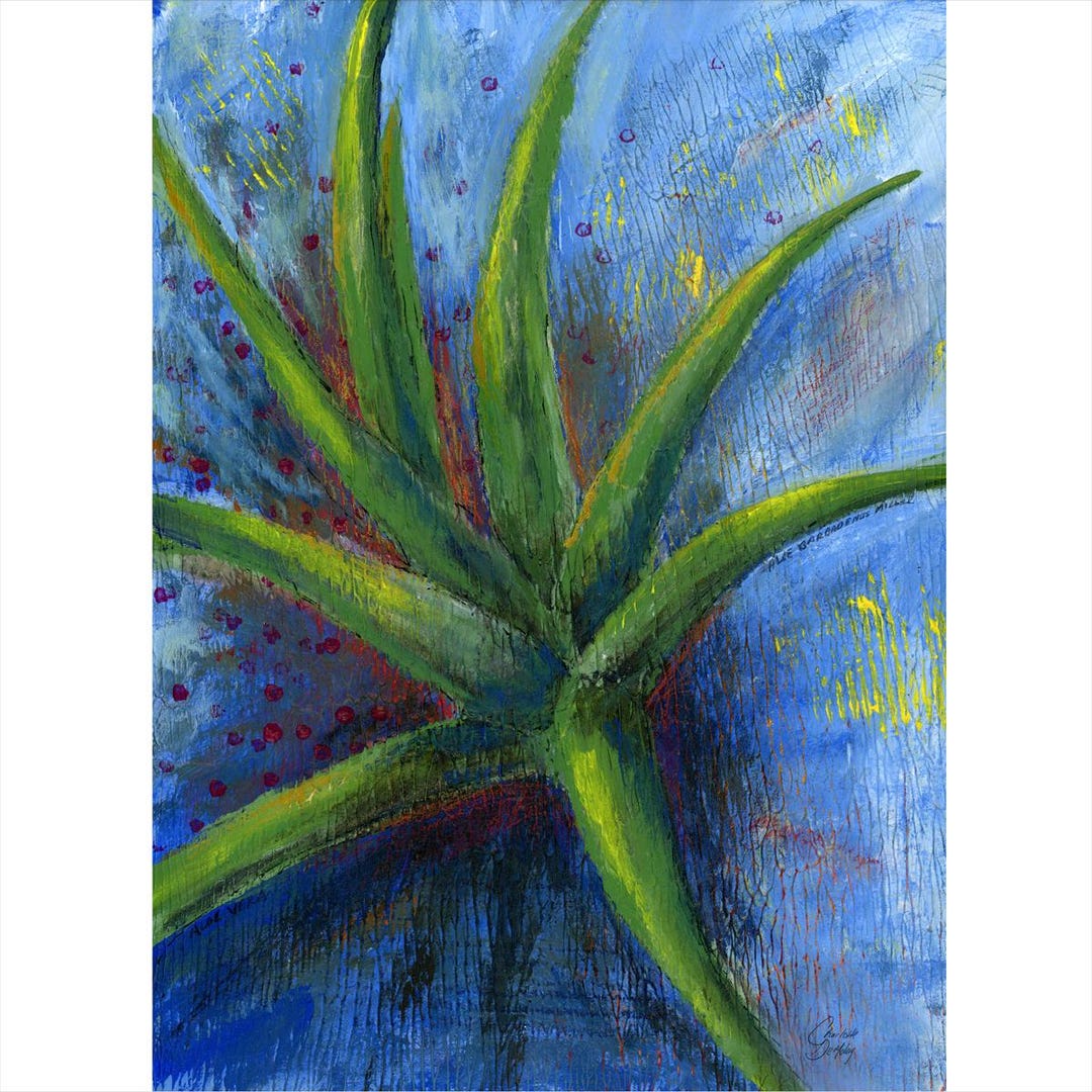 Art Print - Aloe Vera - Etsy