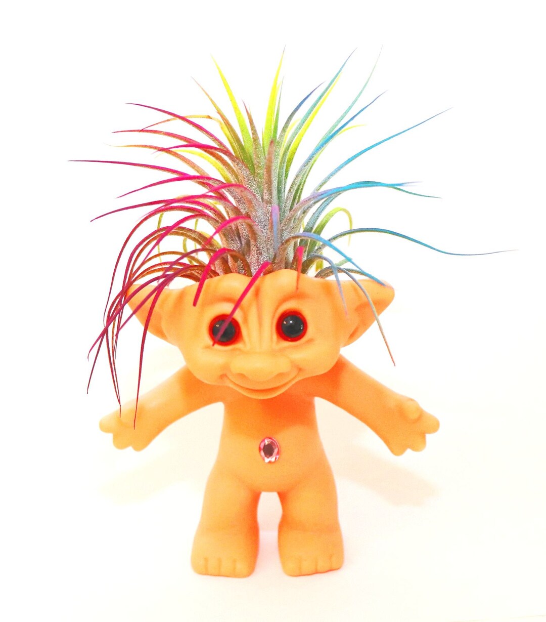 Rainbow Air Plant Troll Doll , Customize Air Plant Hair in Troll Doll ...