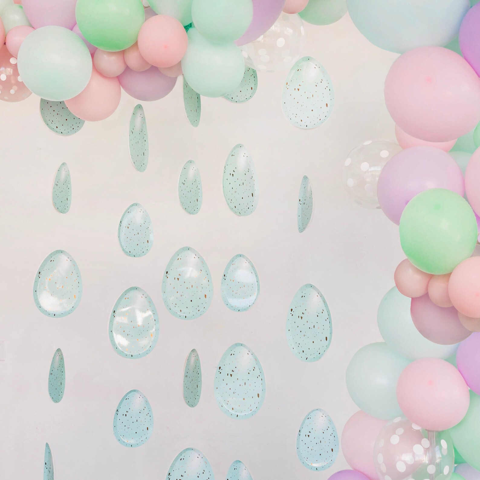 Rockin' Robin Dinner Plates 8 Pk. - Etsy