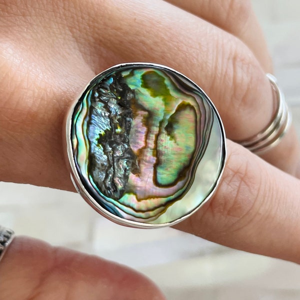 Round Seashell - Etsy