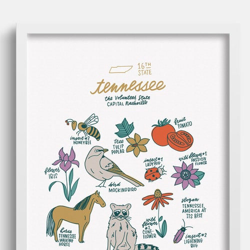 Tennessee State Symbols Illustration Print | Etsy