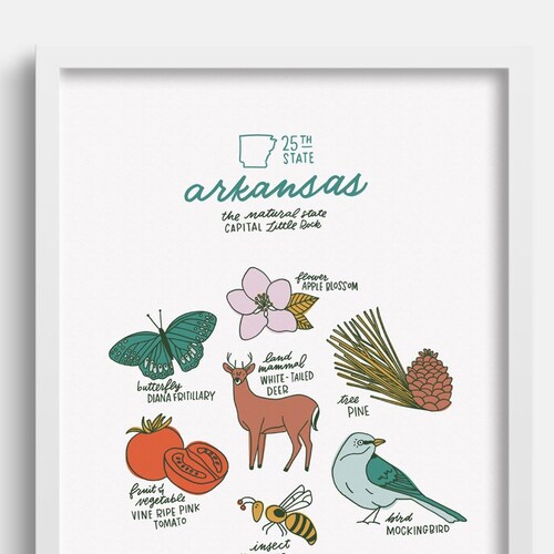 Arkansas State Symbols Illustration Print - Etsy
