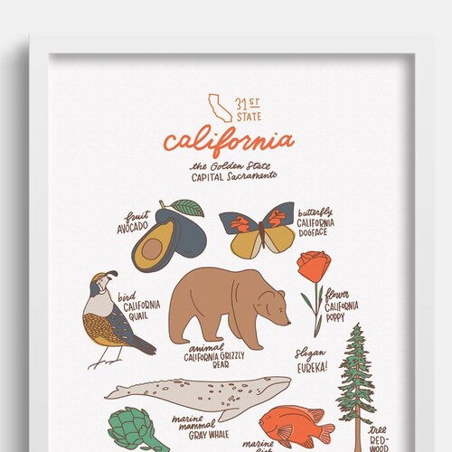 California State Symbols Poster California Art California | Etsy
