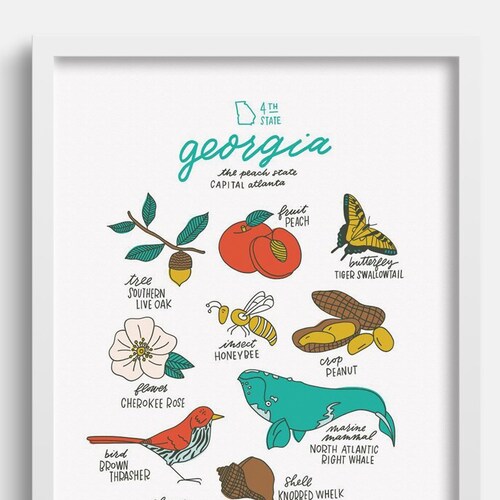 Georgia State Symbols Typology Poster Georgia Wall Art - Etsy