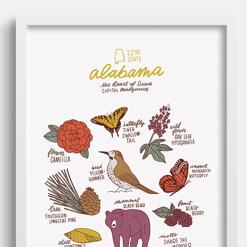 Alabama State Bird Art Print Alabama Yellowhammer and | Etsy