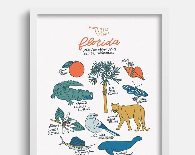 Florida State Symbols Illustration Print | Etsy
