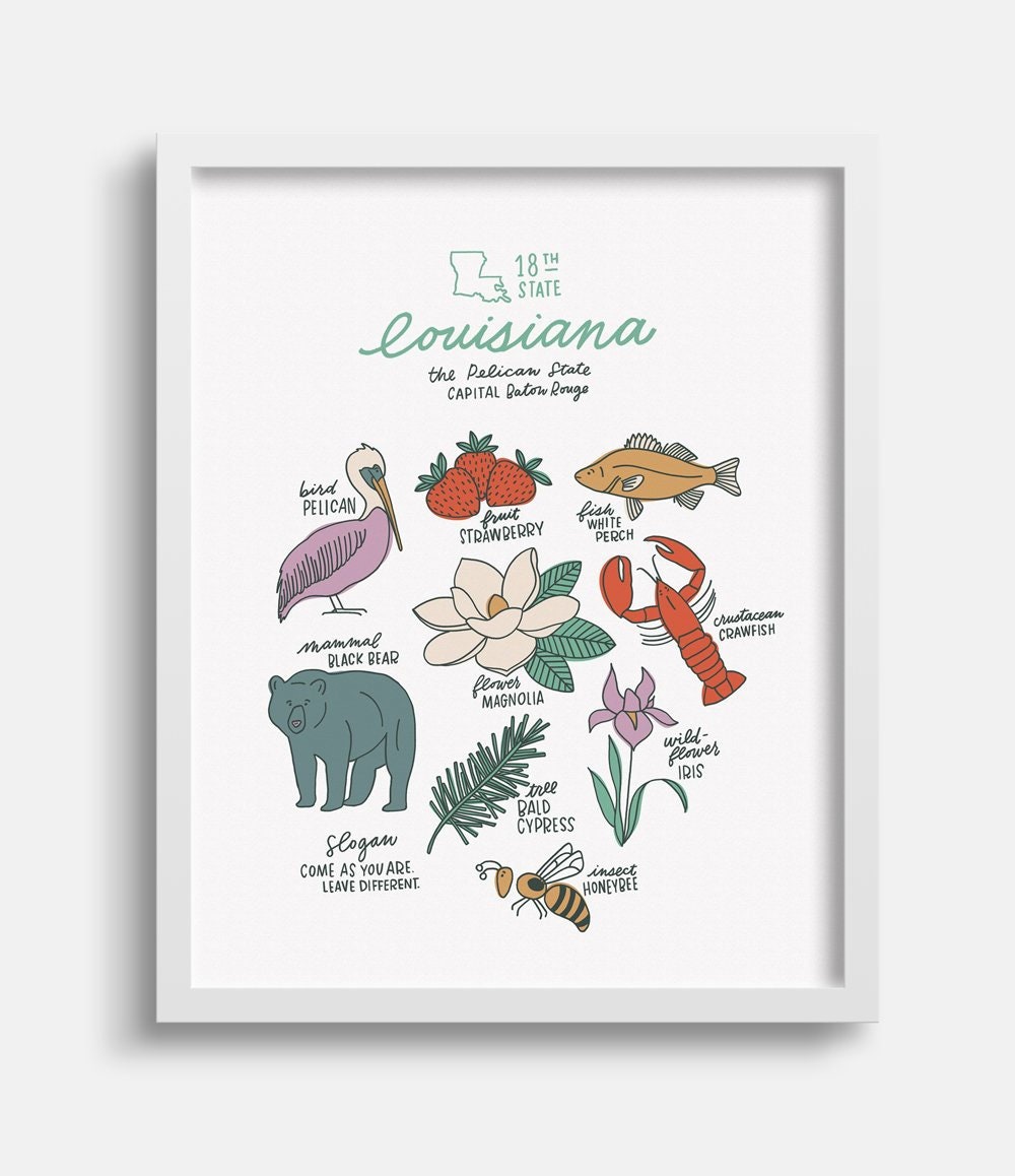 Louisiana State Symbols Illustration Print - Etsy