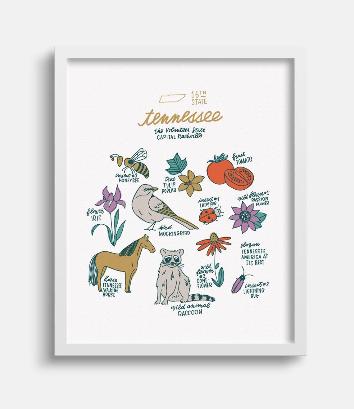 Tennessee State Symbols Illustration Print - Etsy