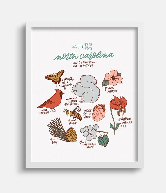 North Carolina State Symbols Illustration Print | Etsy