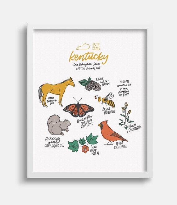 Kentucky State Symbols Illustration Print | Etsy