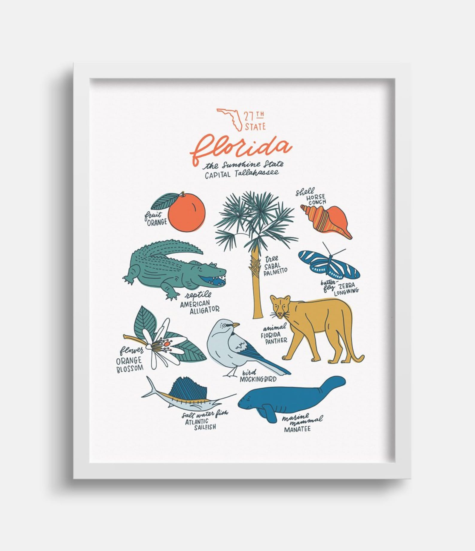 Florida State Symbols Illustration Print | Etsy