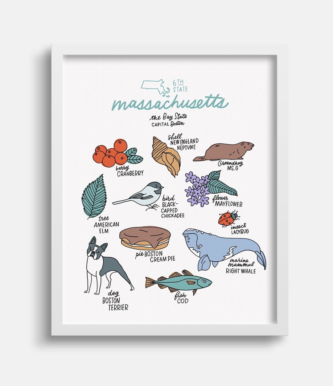 Massachusetts State Symbols Illustration Print, Massachusetts Gift ...