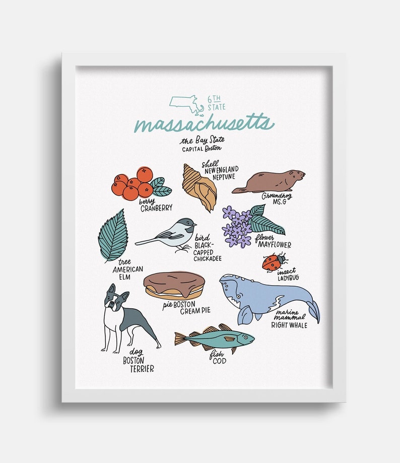 Massachusetts State Symbols Illustration Print, Massachusetts Gift ...