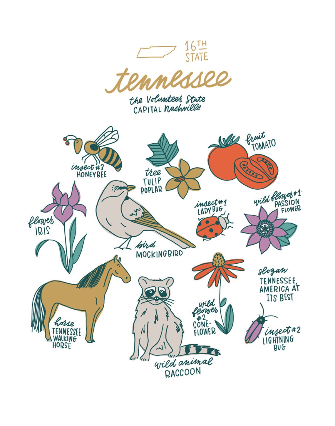 Tennessee State Symbols Illustration Print | Etsy