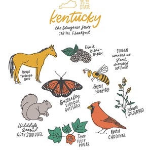 Kentucky State Symbols Illustration Print - Etsy