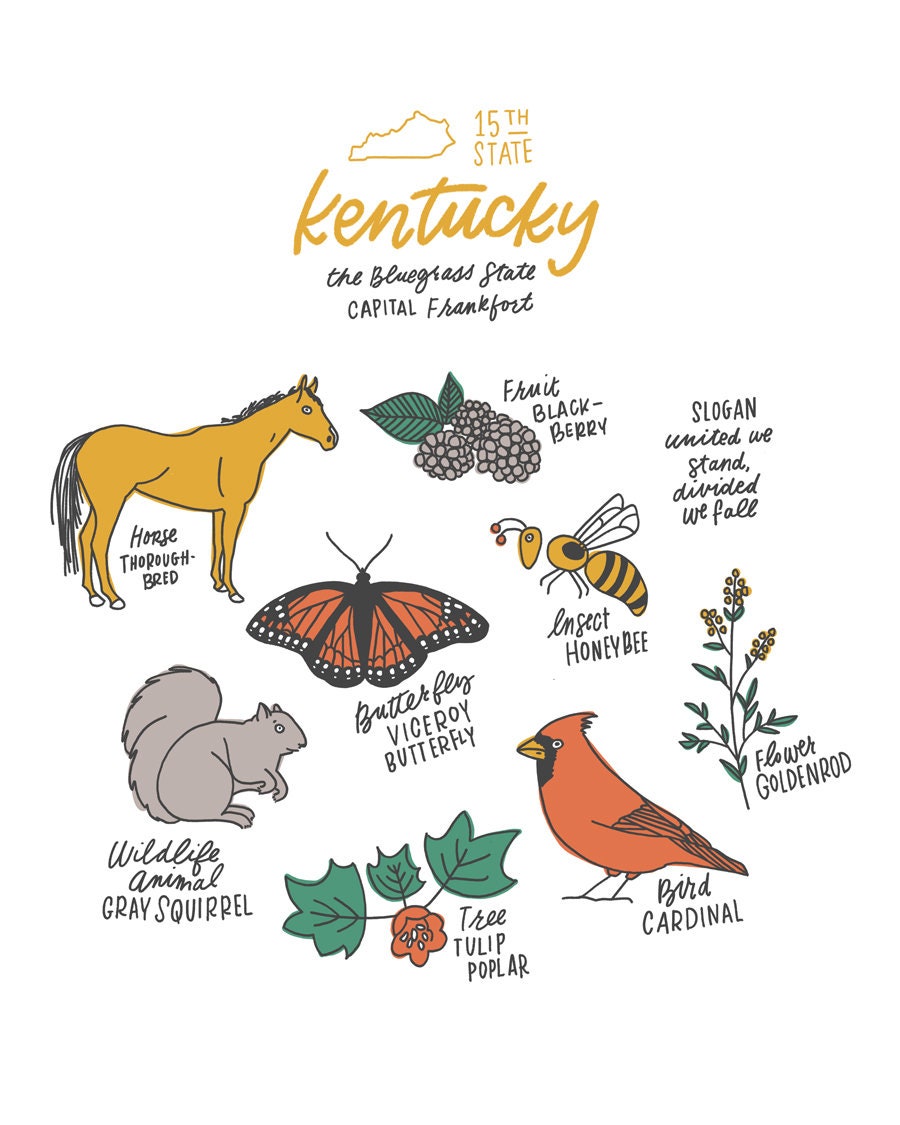 Kentucky State Symbols Illustration Print - Etsy