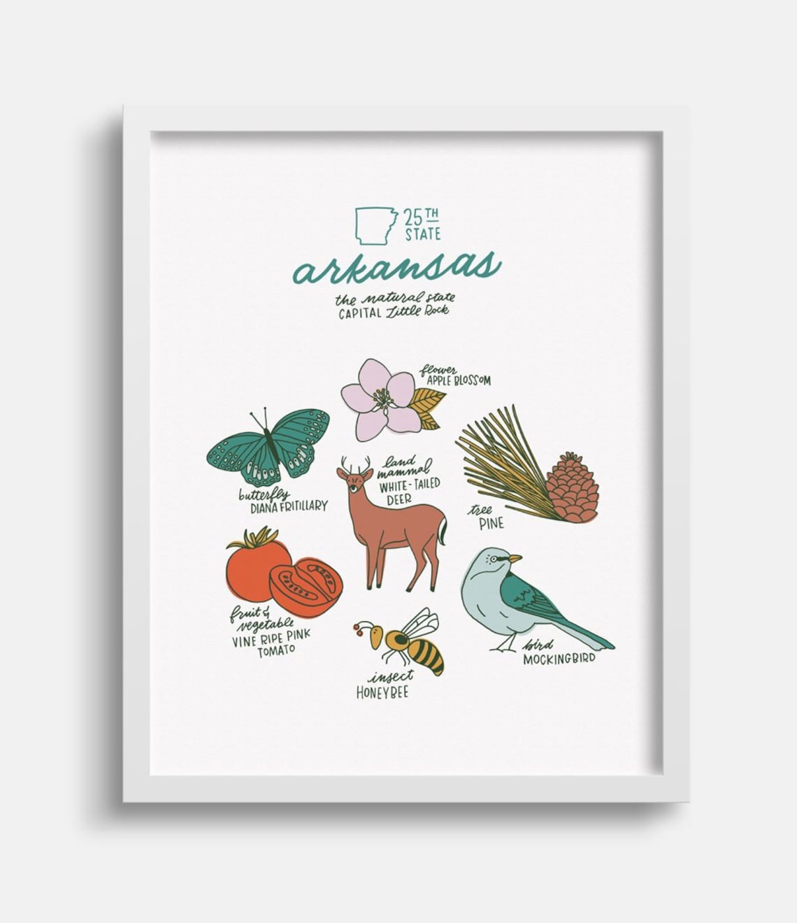 Arkansas State Symbols Illustration Print - Etsy