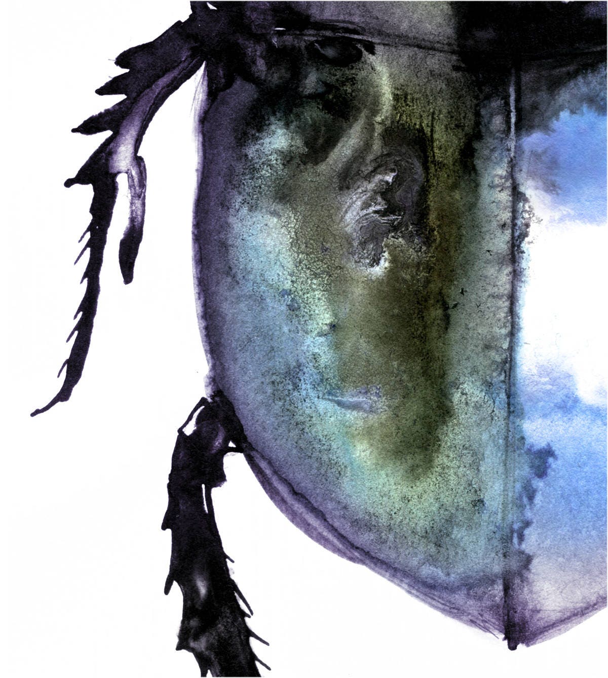 Beetle Watercolour Painting Giclée Print Inky Iridescent Bug Insect ...