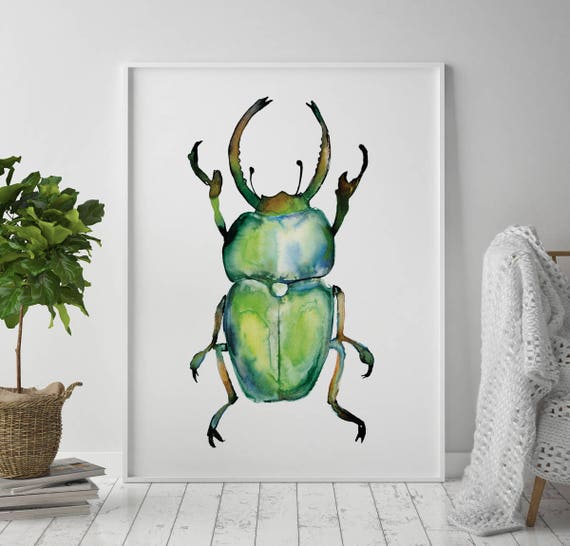 Stag Beetle Painting Print Poster Watercolour Ink Iridescent - Etsy UK