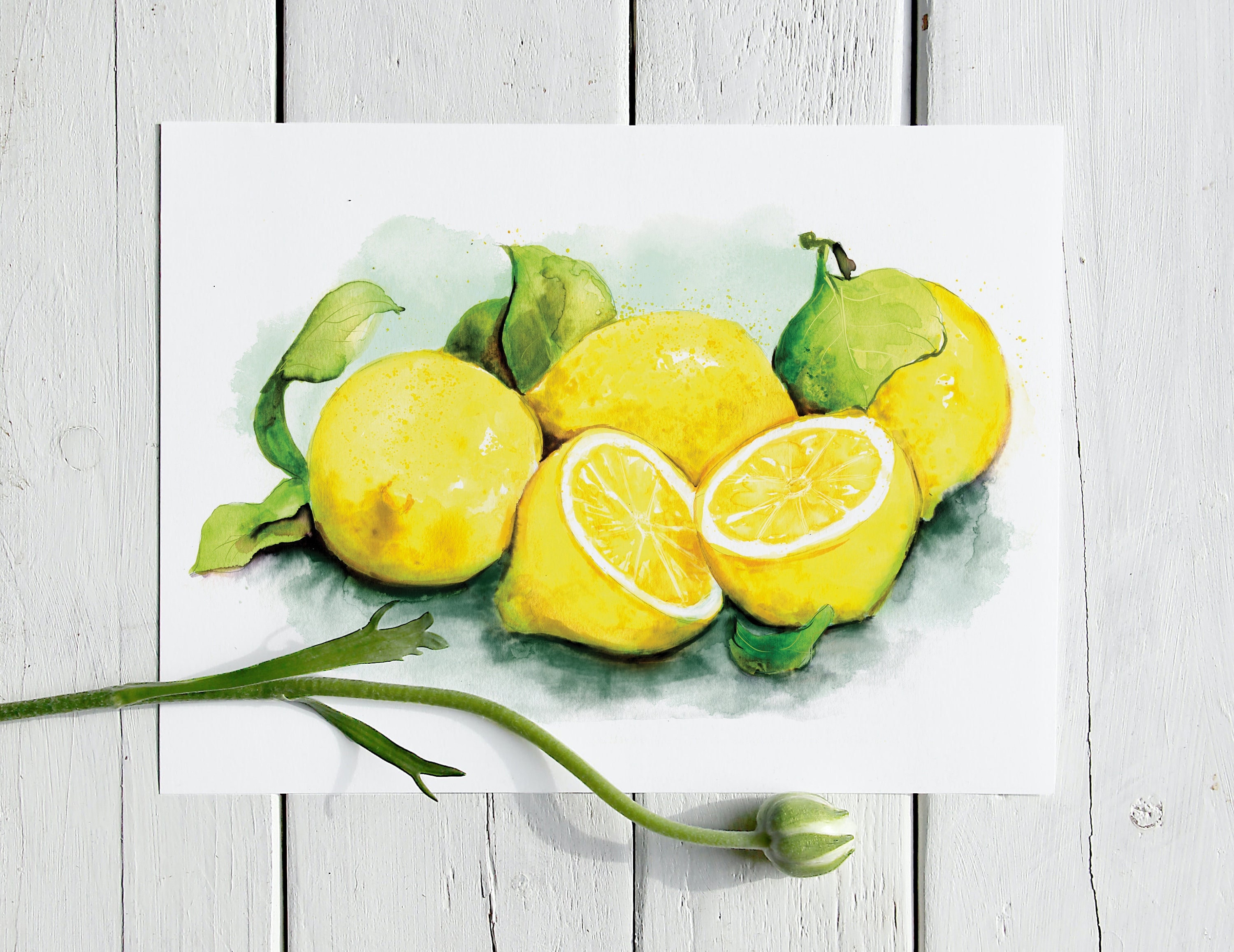 Lemon Food Art