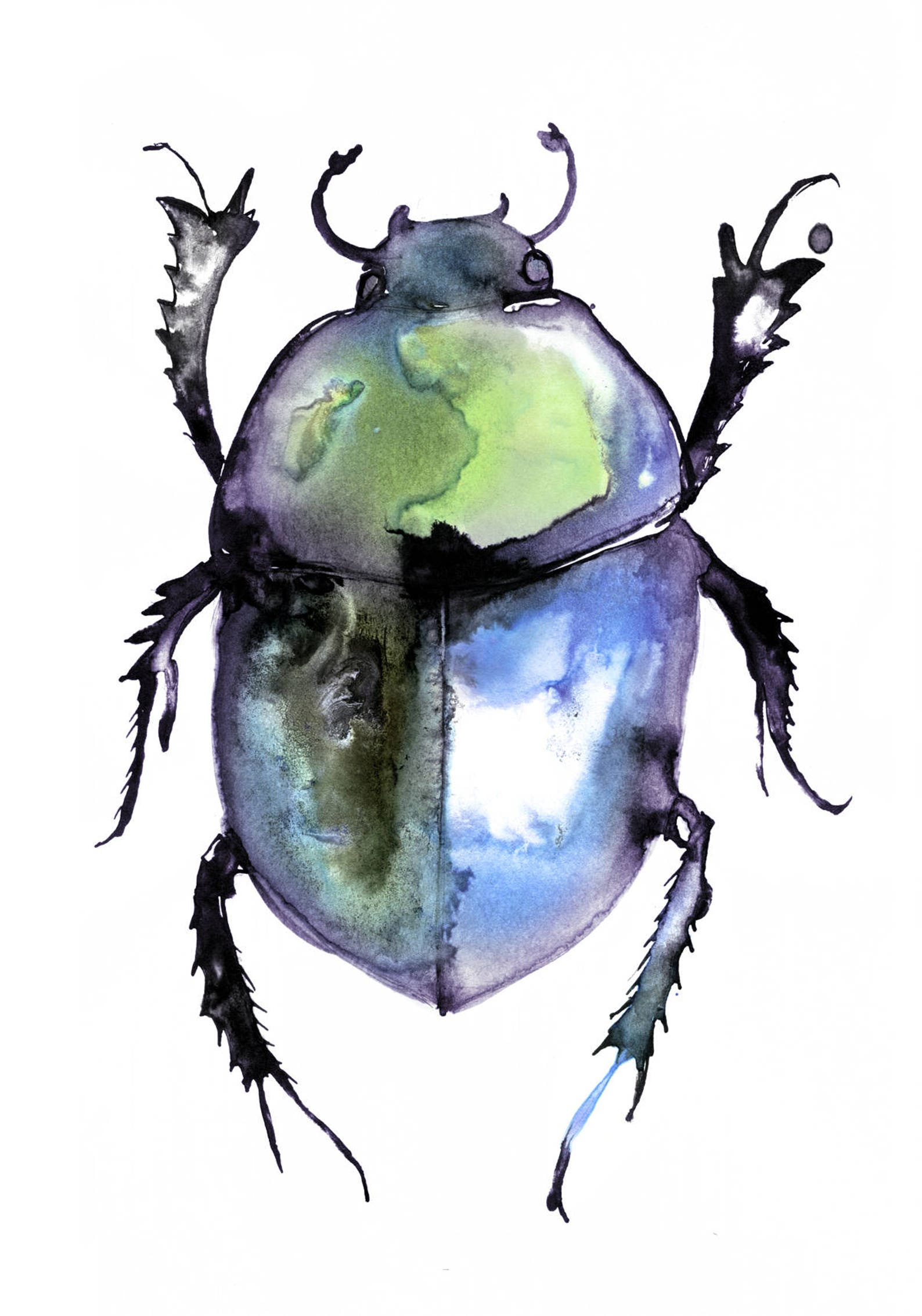 Beetle Watercolour Painting Giclée Print Inky Iridescent Bug Insect ...