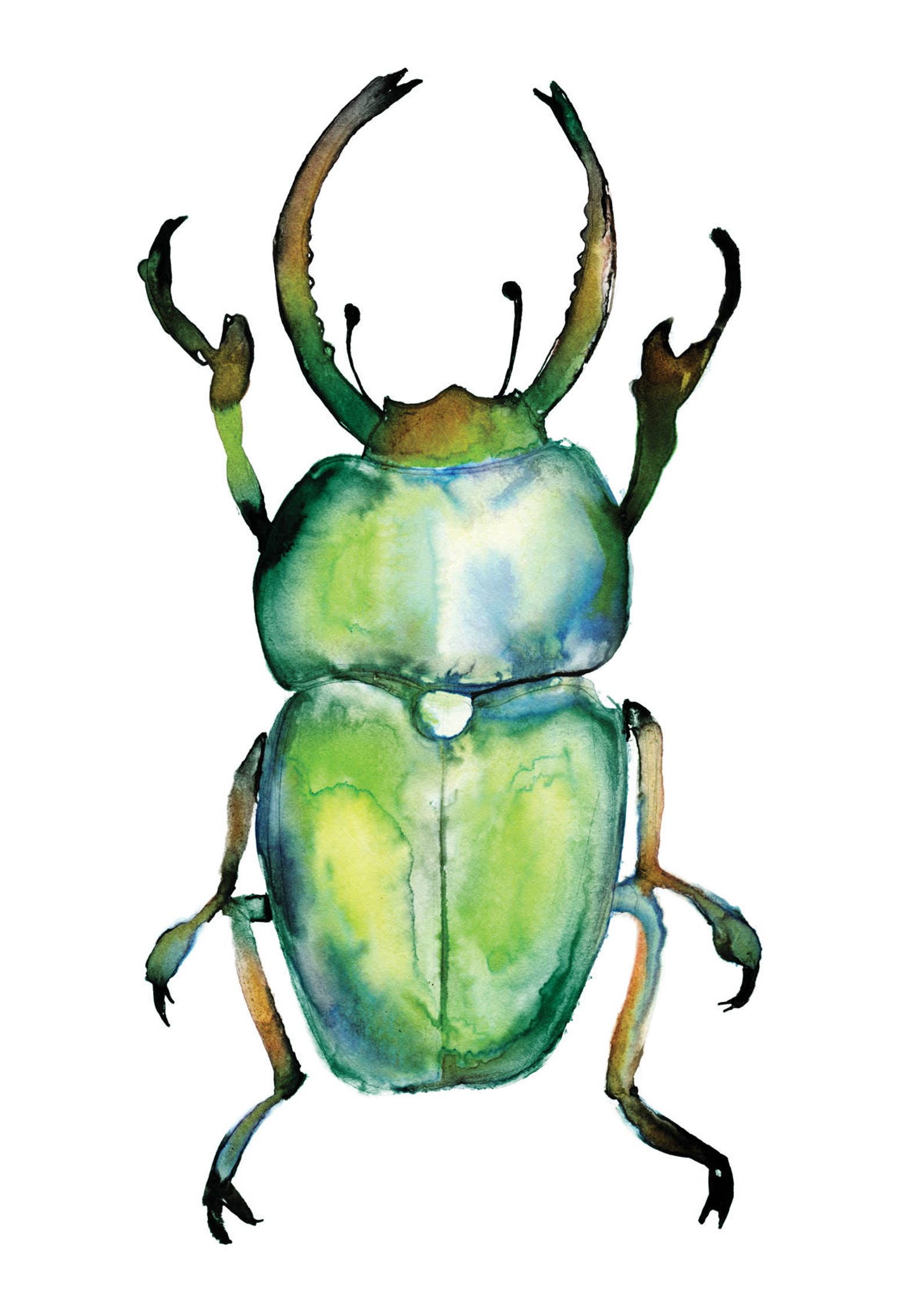 Stag Beetle Painting Print Poster Watercolour Ink Iridescent Emerald ...