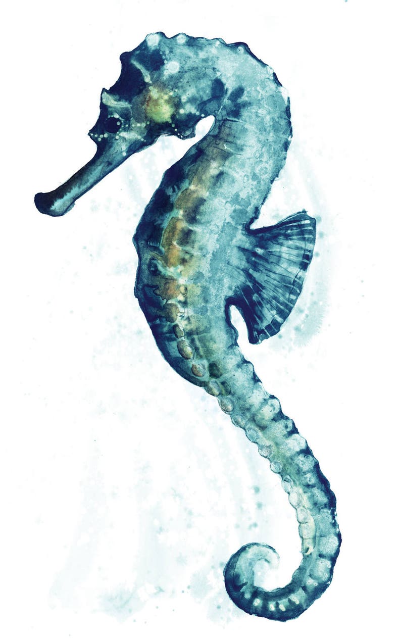Seahorse Watercolour Painting Wall Art Ocean Nautical Coastal | Etsy