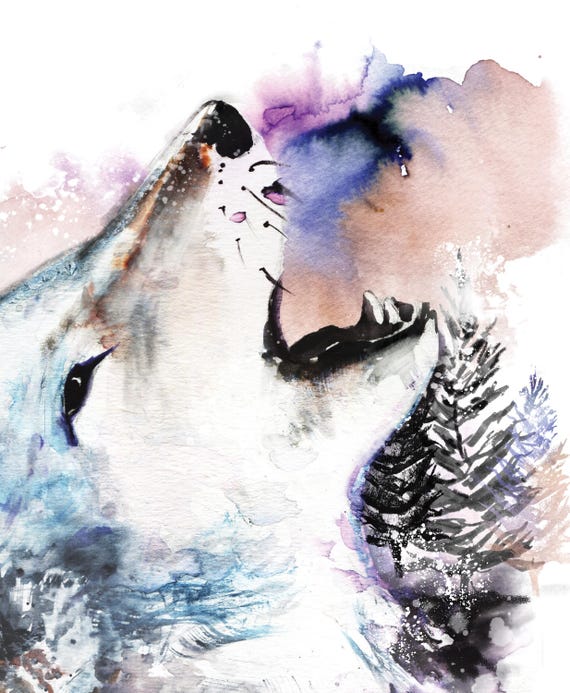 Pinturas De Acuarela De Un Lobo