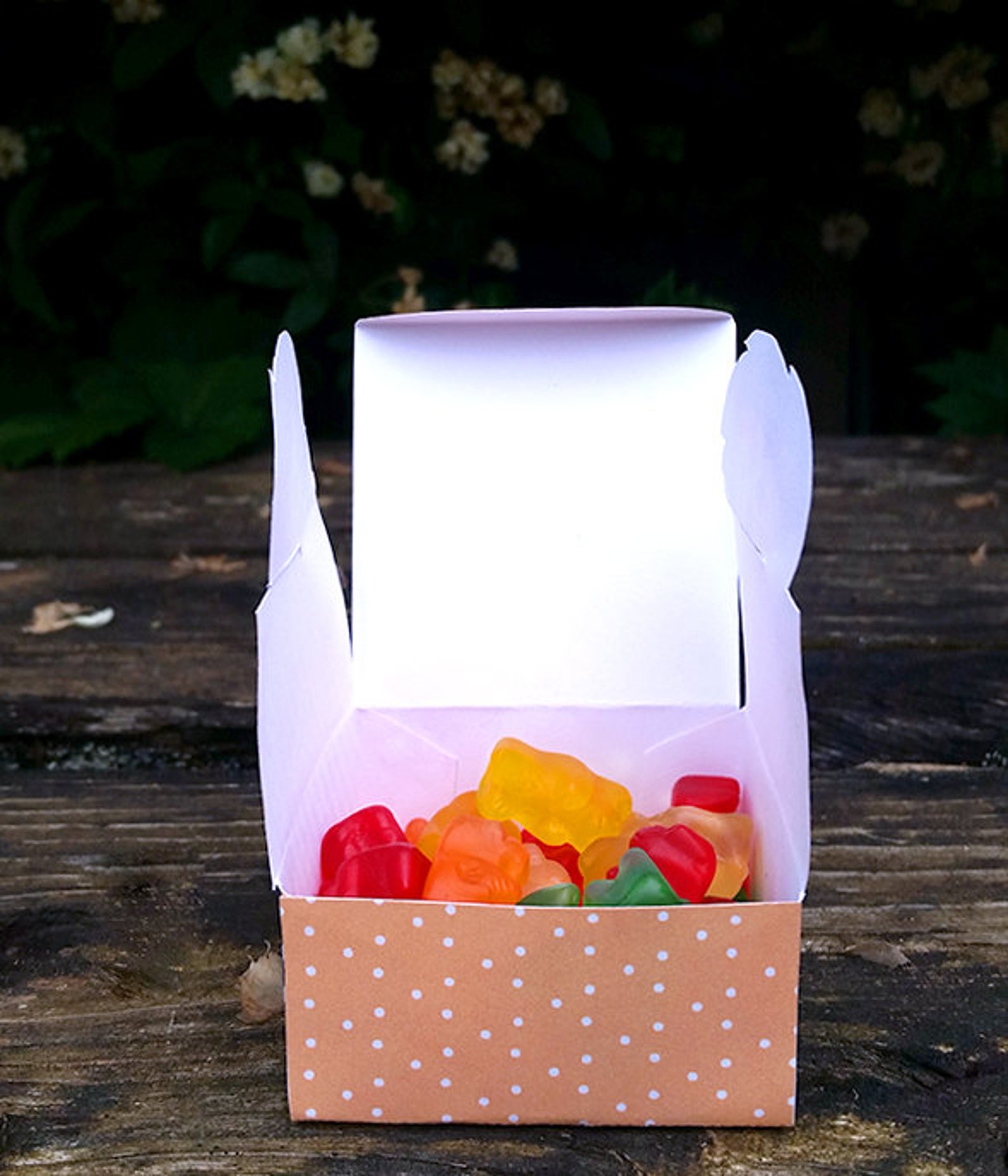 Gift Box - Lion Box. Surprise Box. Circus Party. Animal Party. Lion ...