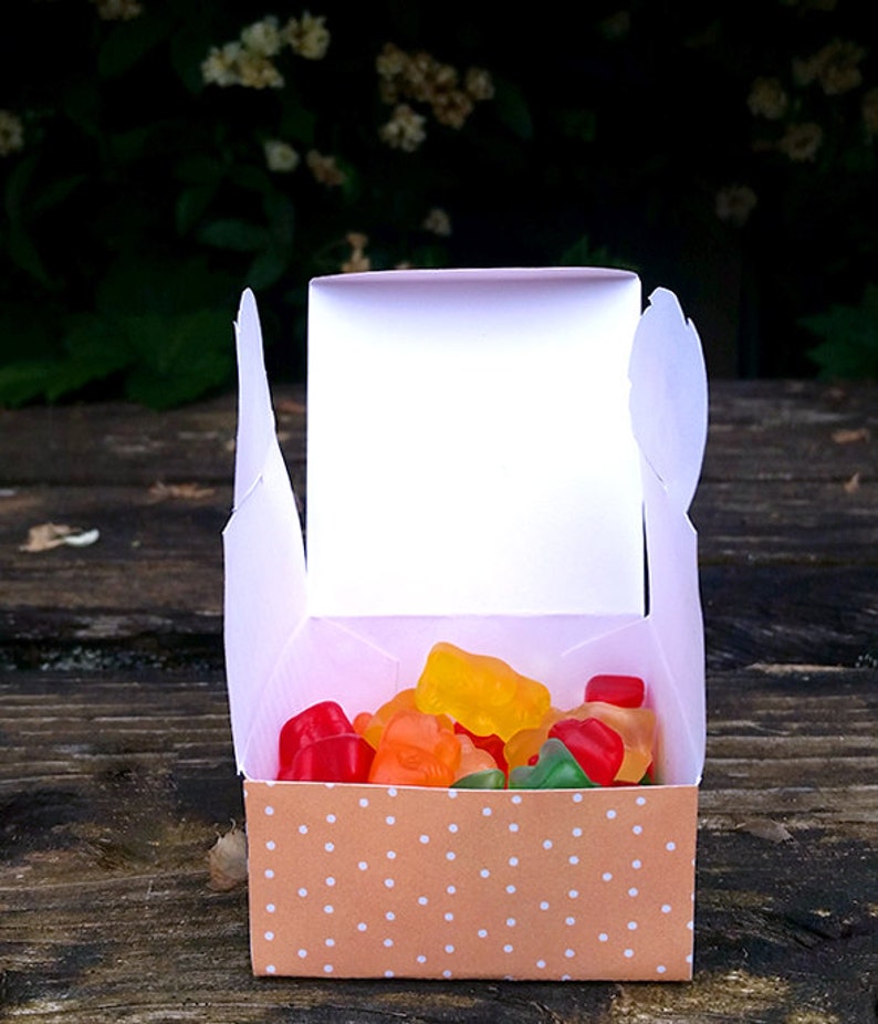 Gift Box - Lion Box. Surprise Box. Circus Party. Animal Party. Lion ...