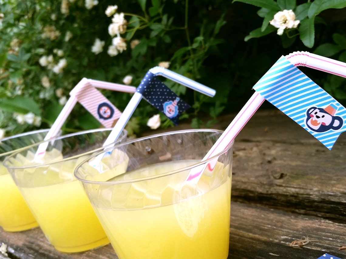 Circus Kit. Circus Party Kit. Circus Birthday. Printable Kit.editable ...