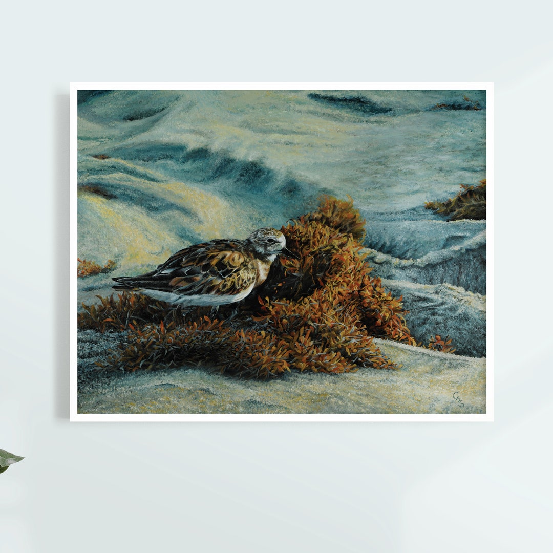 Beach Sandpiper Art Print - 16" X 20" Poster Art Print of Original ...