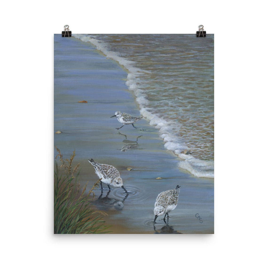 Sandpipers on the Beach - Poster Art Print of Original Painting - Etsy