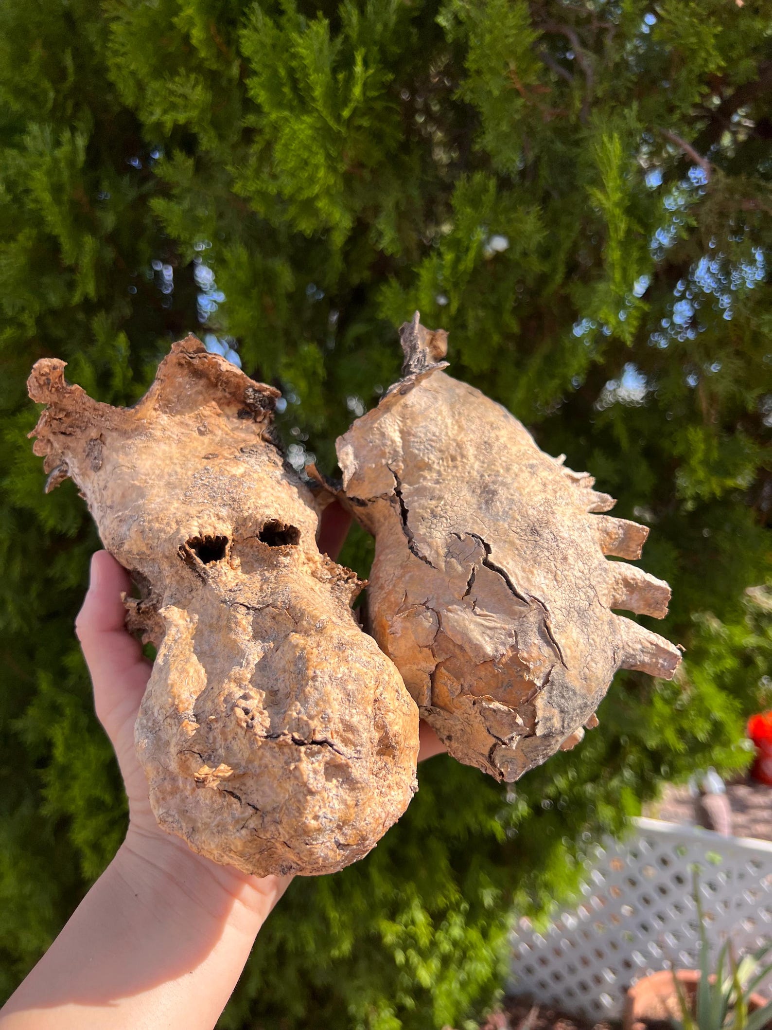 SET OF 2 Unique Saguaro Boots Rustic Home Decor Arizona Desert ...