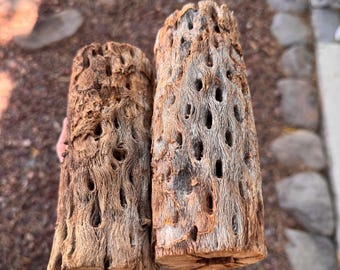 Cholla Skeleton Piece | Cactus Decor | Rustic Home Decor | Arizona ...