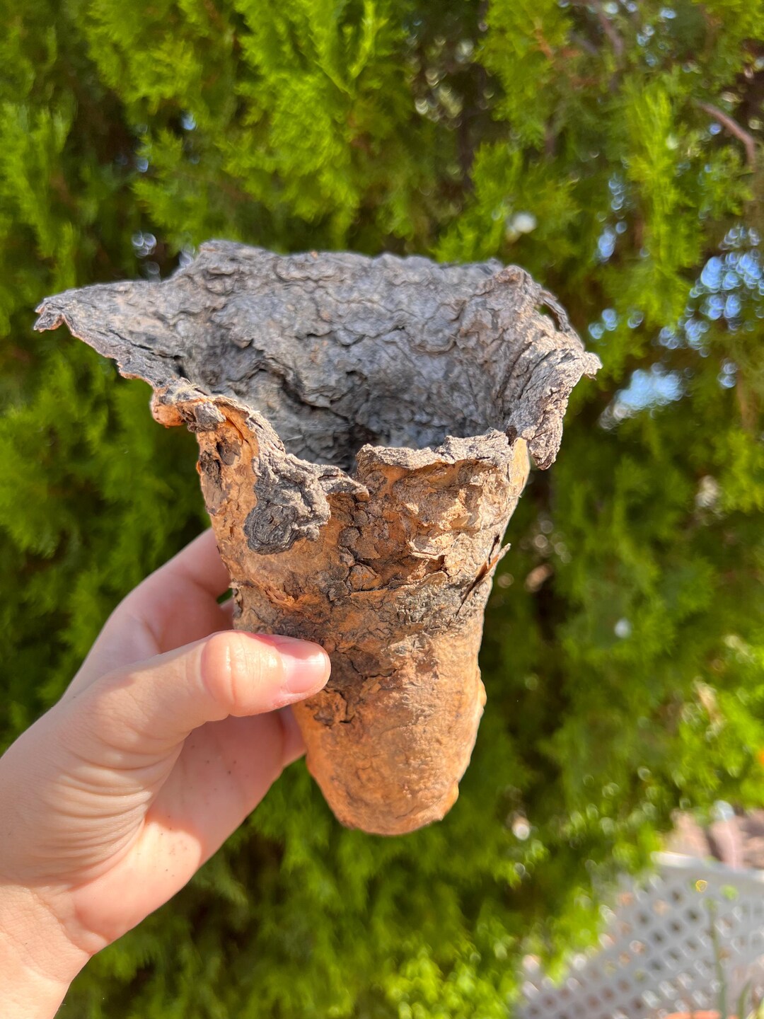 Saguaro Boot Rustic Home Decor Arizona Desert Southwest Saguaro Cactus ...