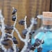 Wire Tree Sculpture Skulls Halloween Home Decor - Etsy