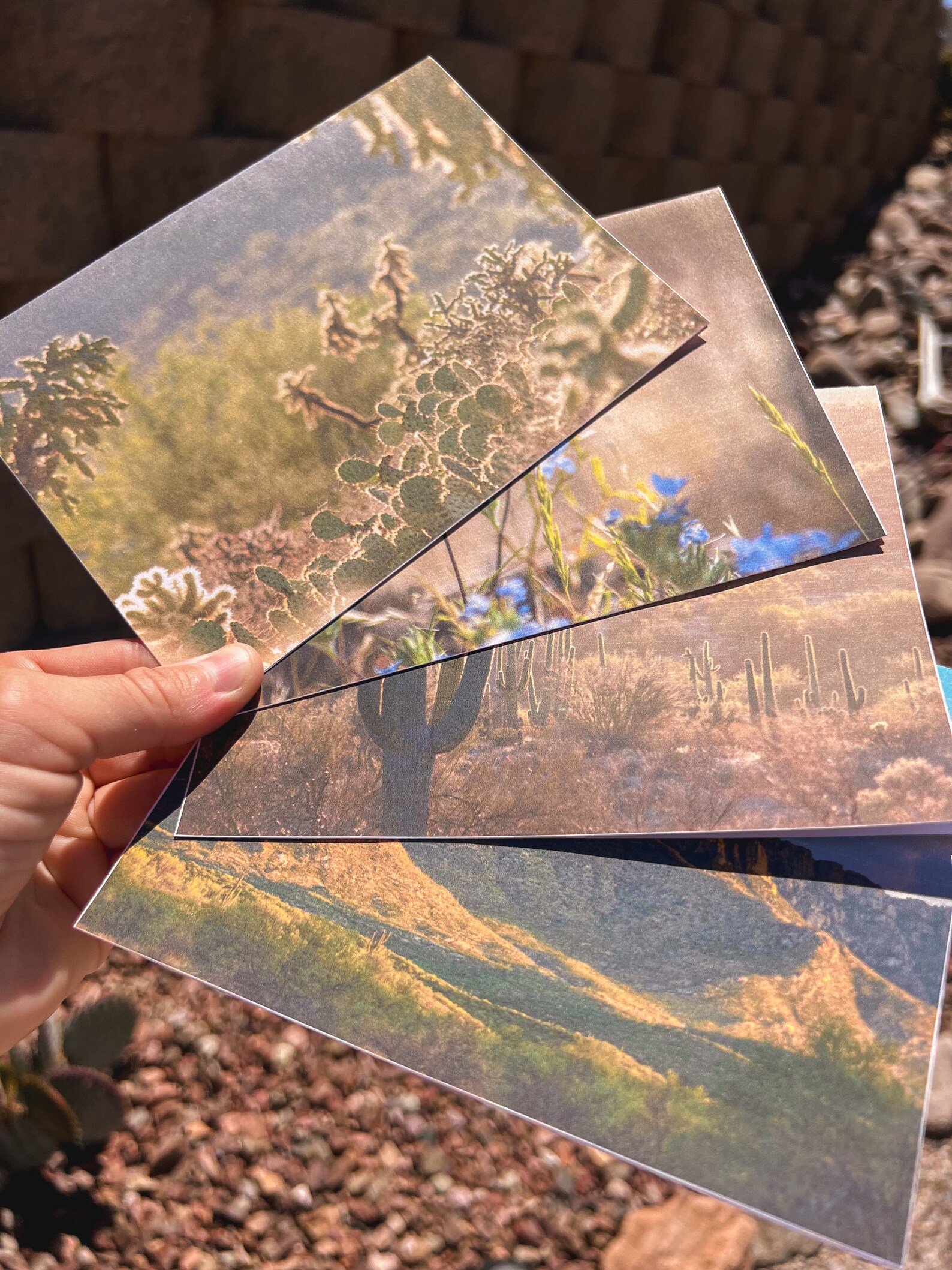 Variety Pack Greeting Cards | SET OF 5 or 10 Handmade Blank Cards With ...