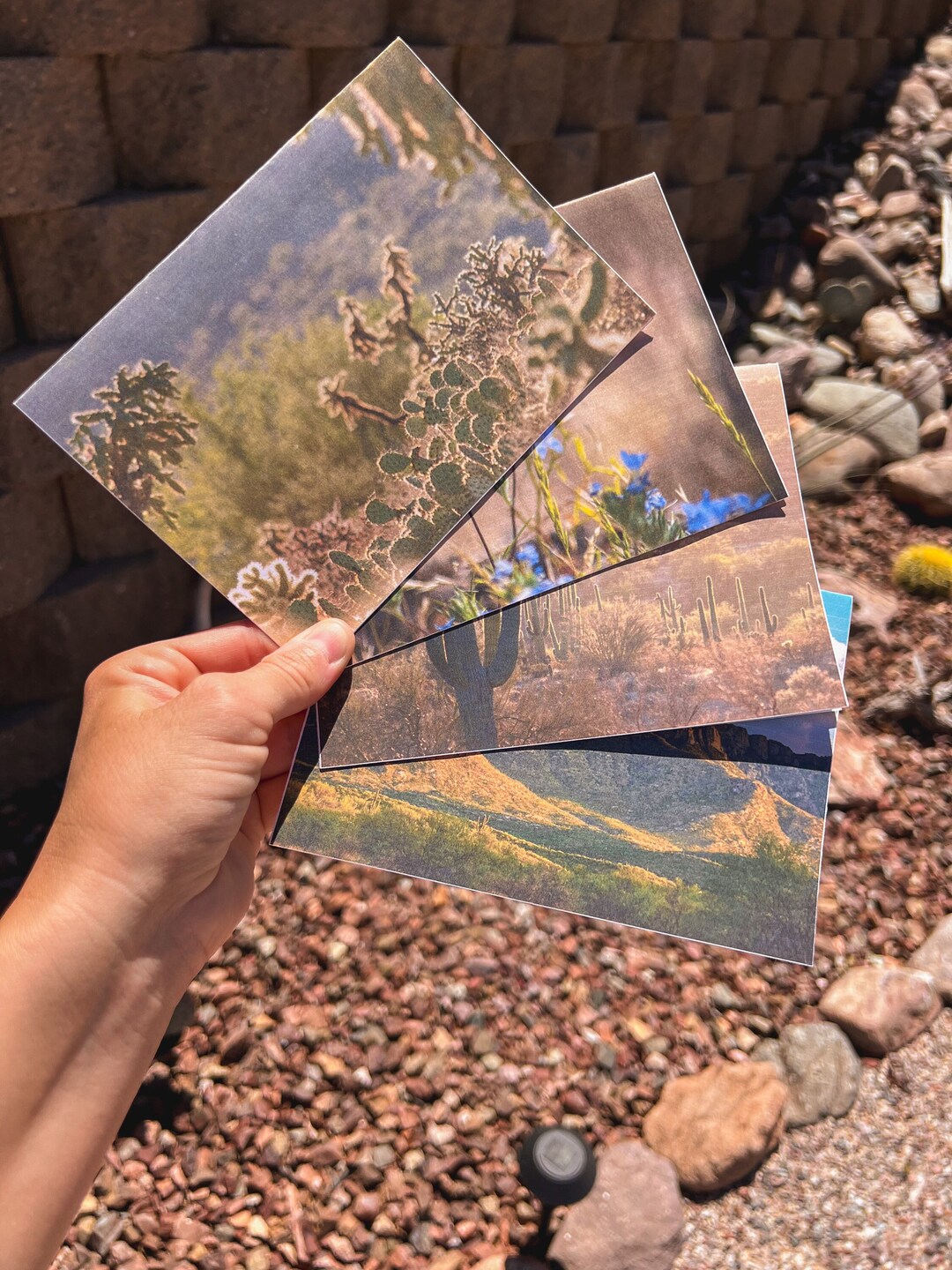 Variety Pack Greeting Cards | SET OF 5 or 10 Handmade Blank Cards With ...