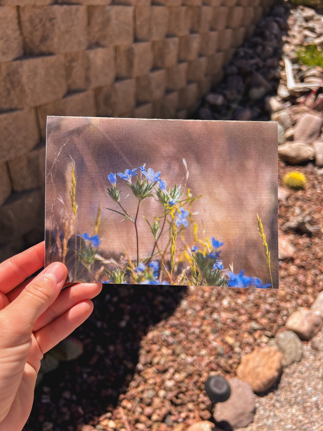 Desert Wildflowers Greeting Cards | SET OF 5 or 10 Handmade Blank Cards ...