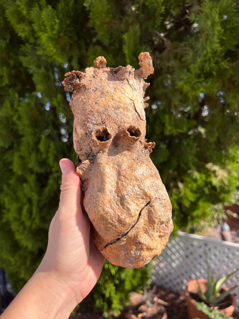 SET OF 2 Unique Saguaro Boots Rustic Home Decor Arizona Desert ...