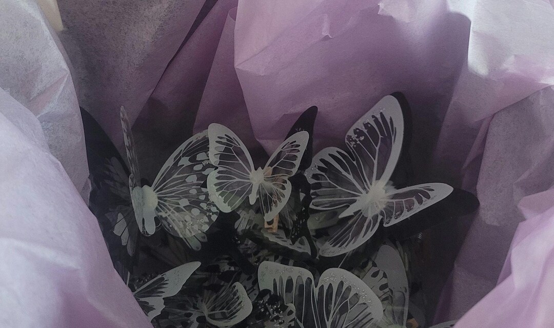 Cabbage Garden Moth Decoys.! - Etsy