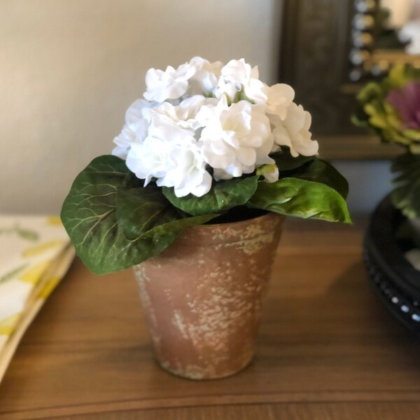 Artificial African Violet - Etsy