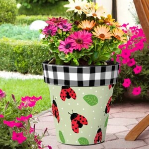 Lady Bugs White and Black Checks 15 Art Planter Lady Bug Pot - Etsy